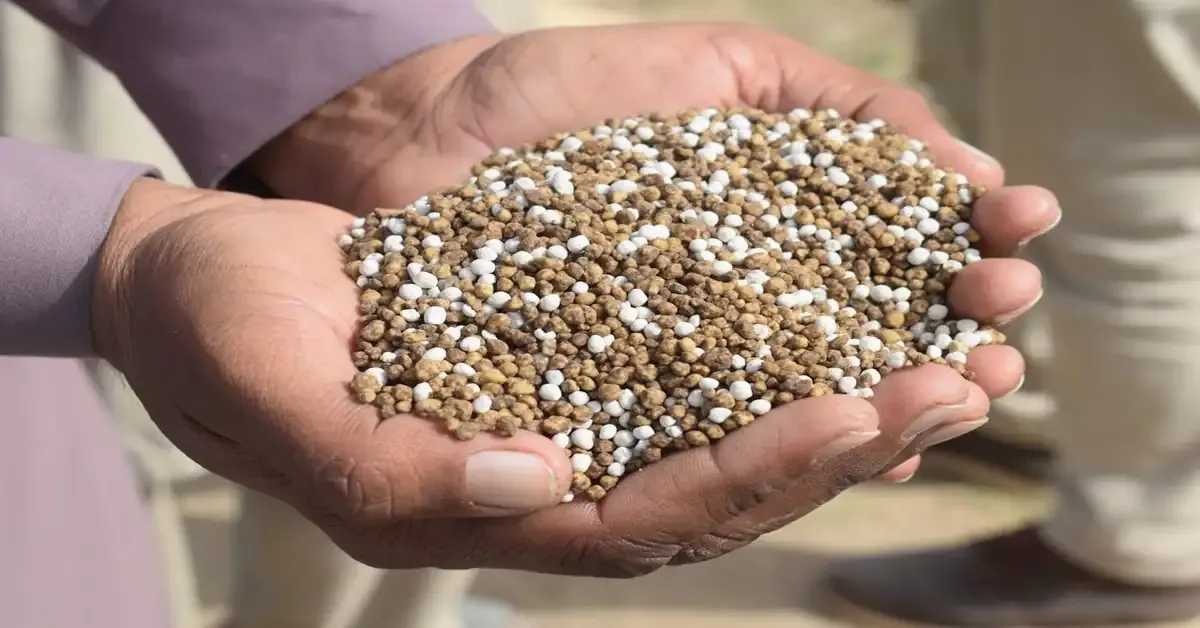 India Seeks 2.5 Million Tonnes of Urea Amid West Asia Supply Disruptions